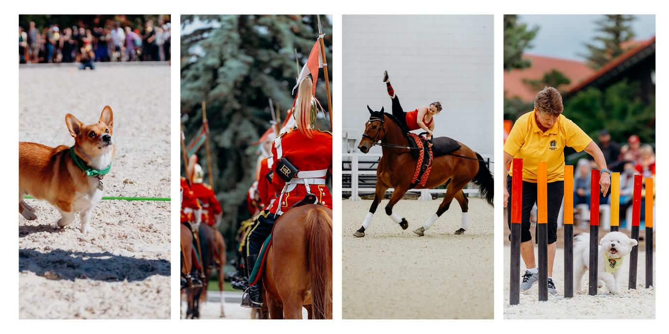 Spruce Meadows | Spruce Meadows