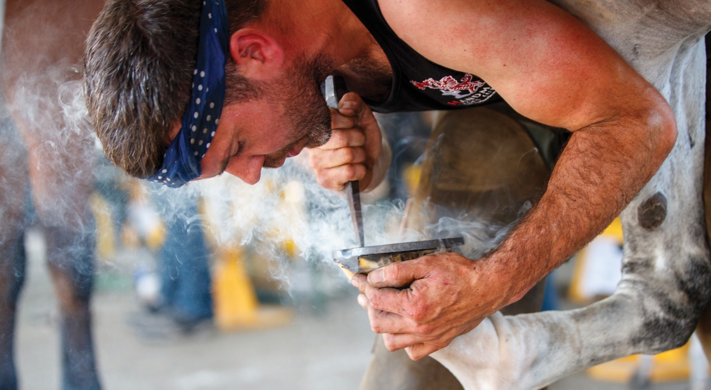 Spruce Meadows | Home