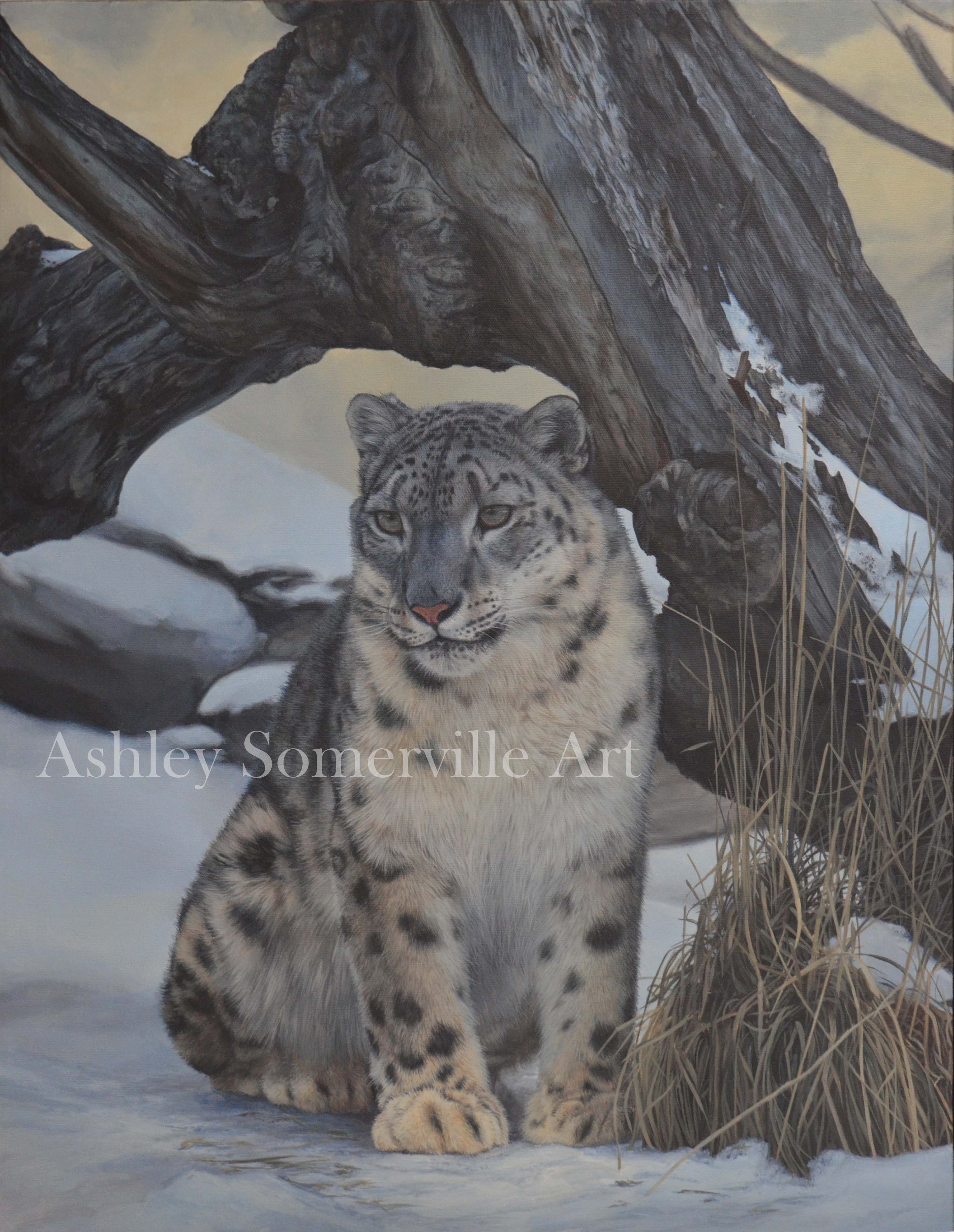 Spruce Meadows | Spruce Meadows 'Masters'