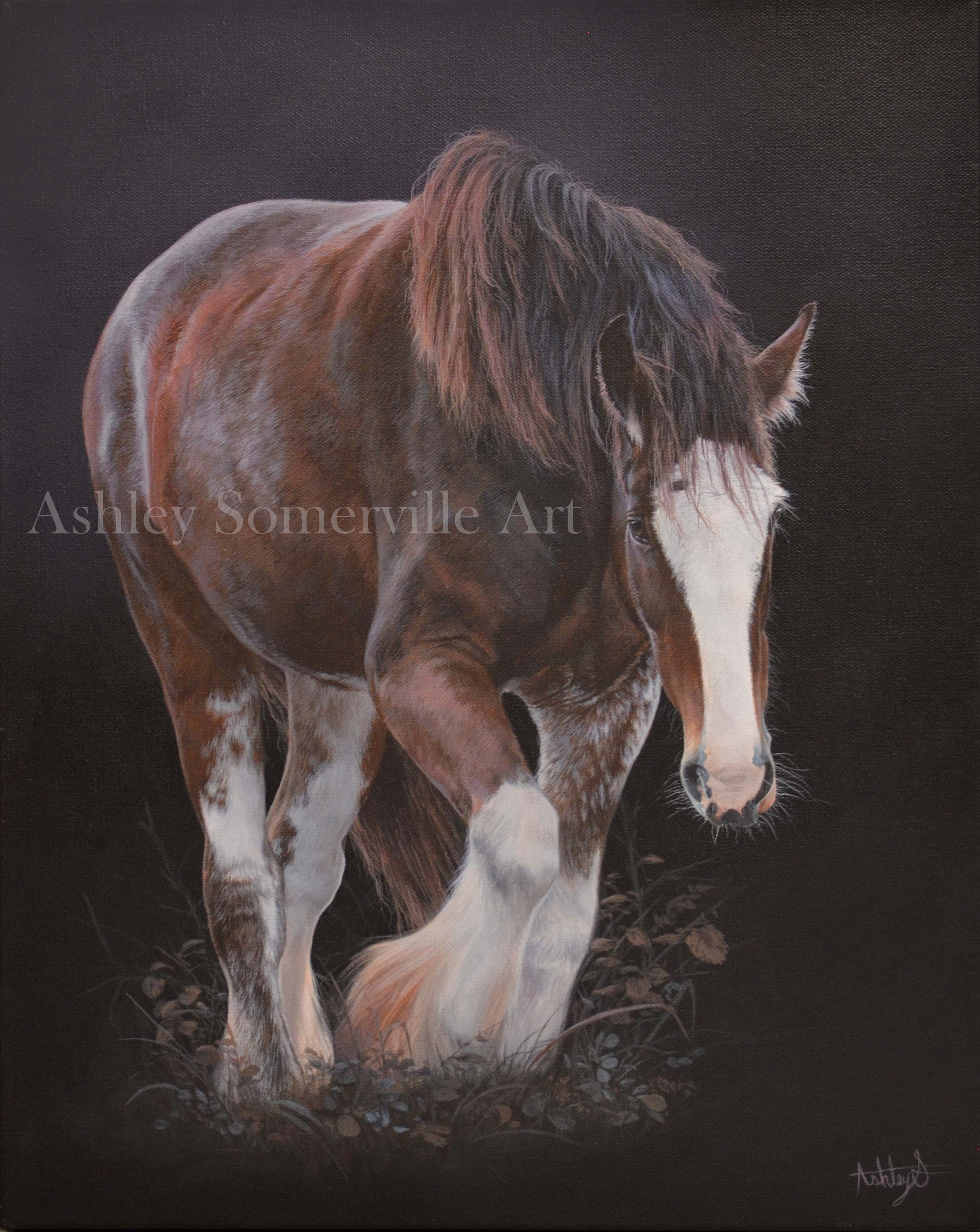 Spruce Meadows | Spruce Meadows 'Masters'