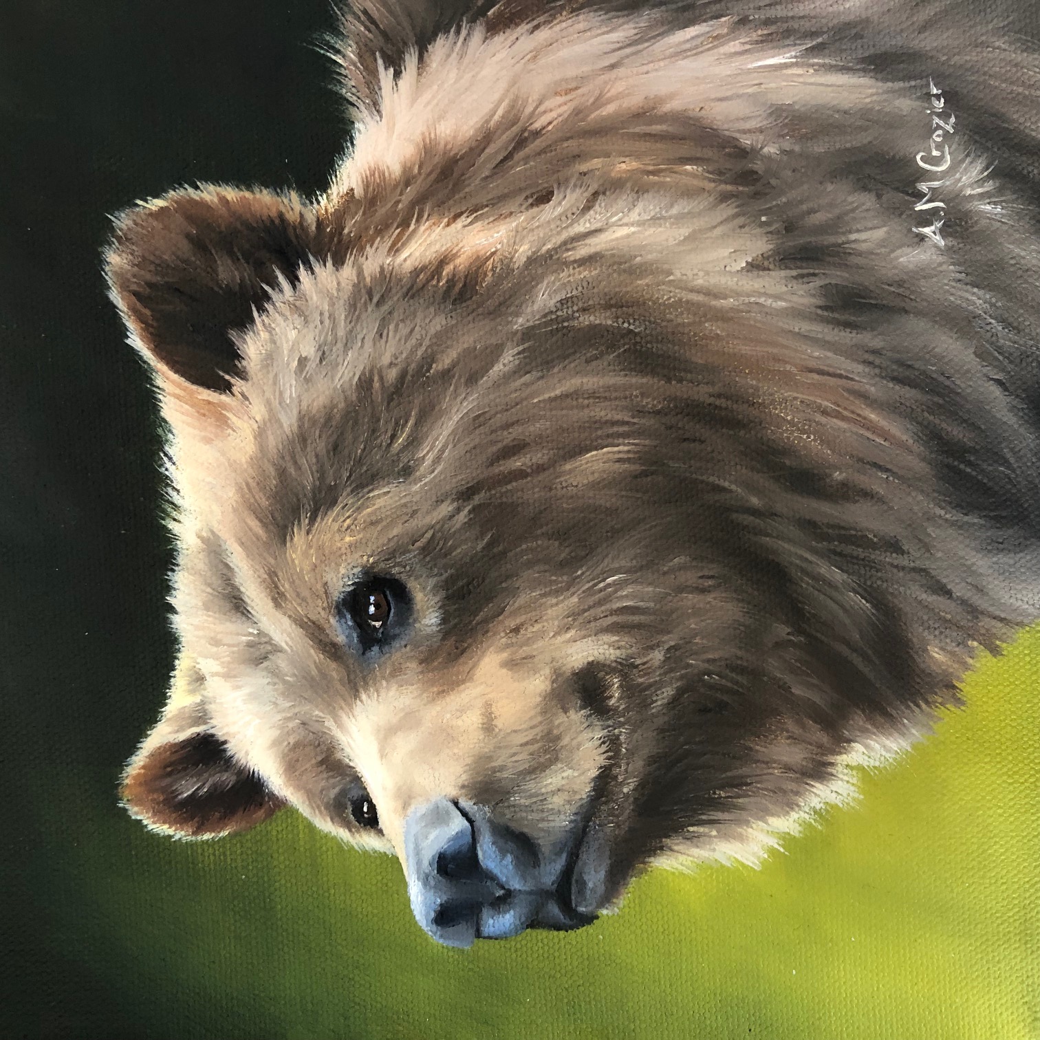 Spruce Meadows | Spruce Meadows 'Masters'